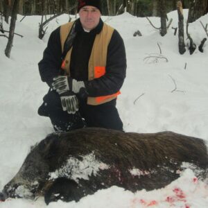 Pennsylvania Hunting Blog - Guided Hunts & Information | Tioga Boar Hunting