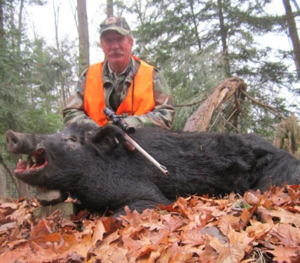 How Experienced Guides Track and Hunt Wild Boars - Tioga Ranch