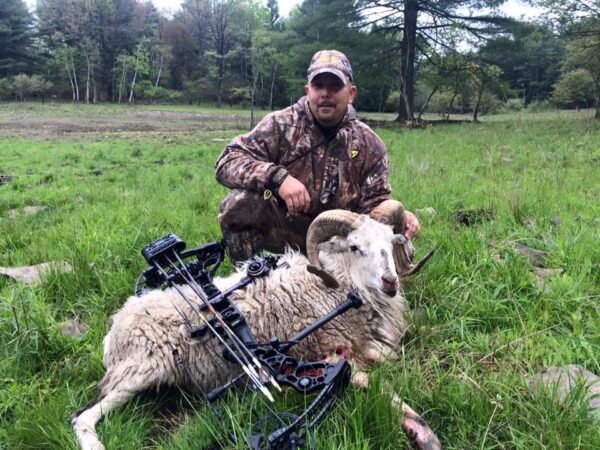 Reasons to Try Bowhunting - Tioga Ranch