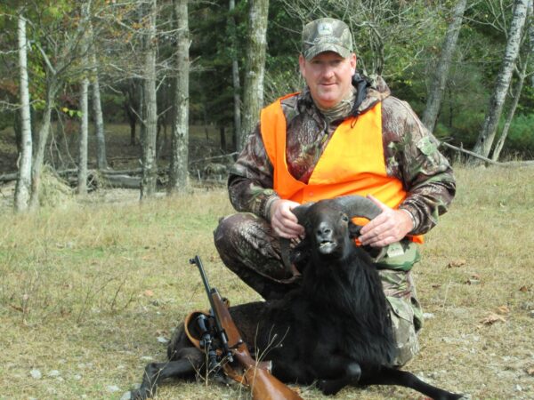 How to Prepare for a Black Hawaiian Ram Hunt - Tioga Ranch