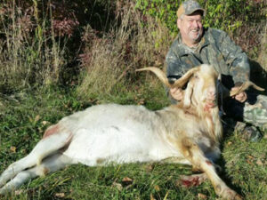 Spanish Goat Hunting in Pennsylvania: Everything You Need to Know ...